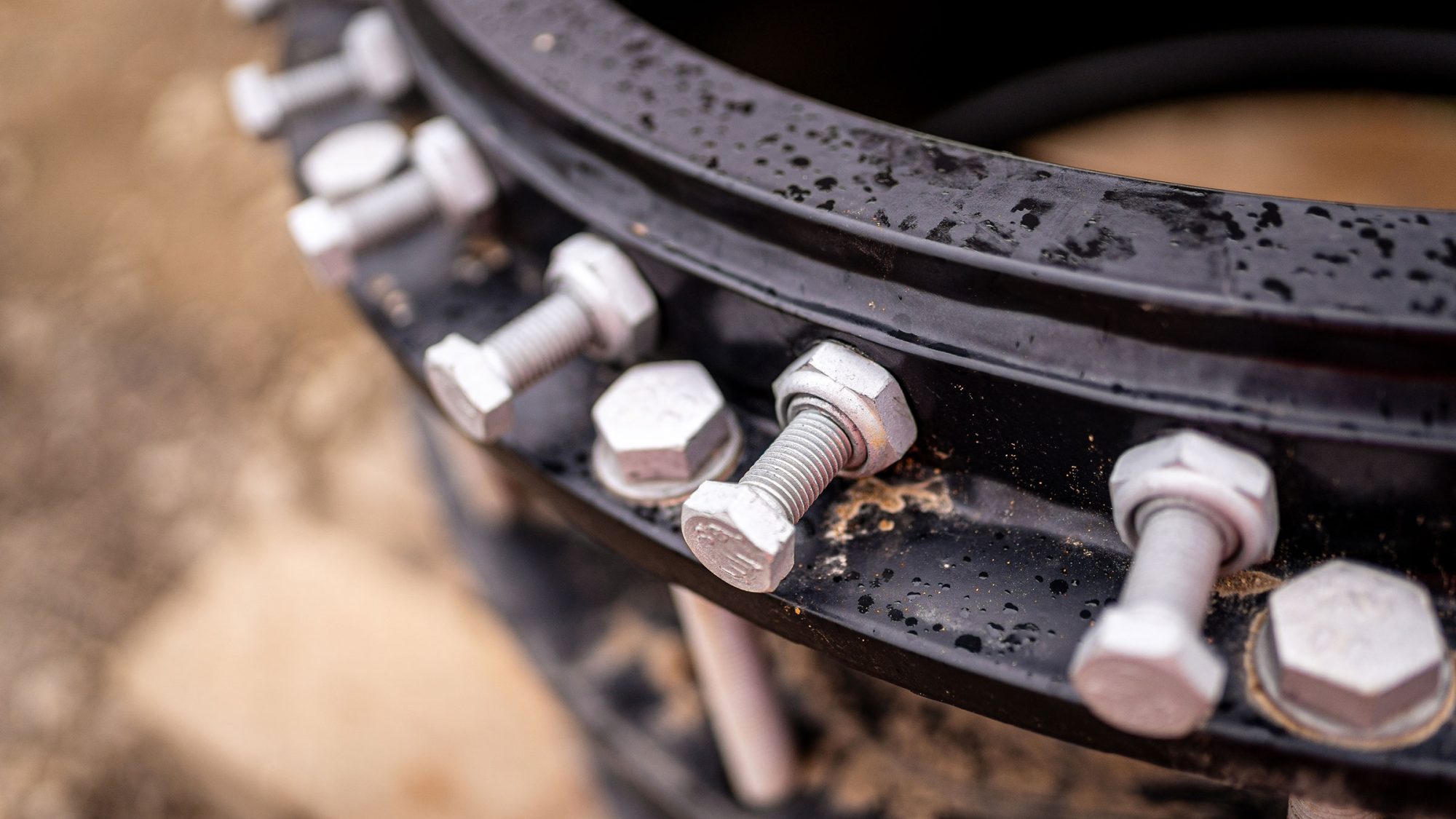 Who we are - Cappagh Browne